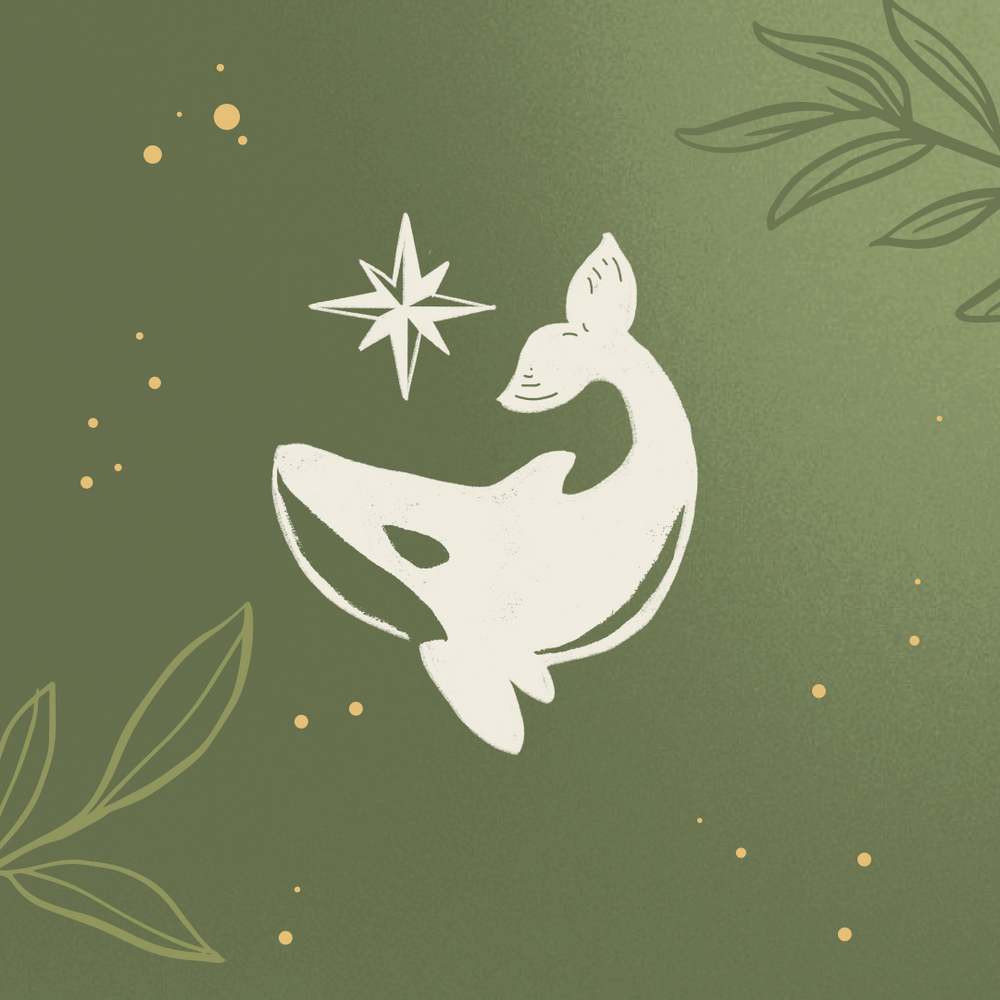 Orca Spirit Animal Meaning and Totem Symbolism | Guidance of the Orca ...